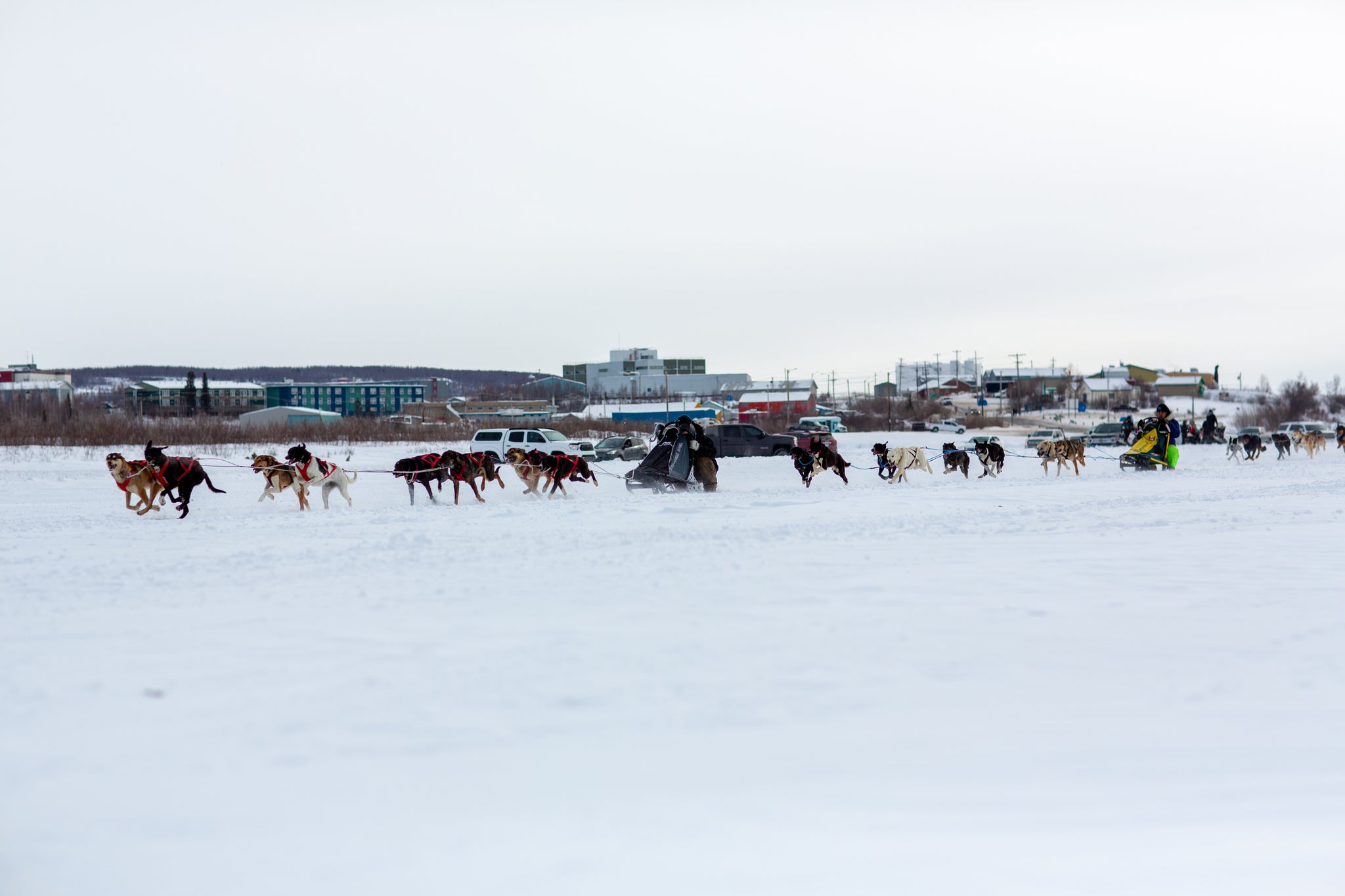 About – Inuvialuit Craft Shop